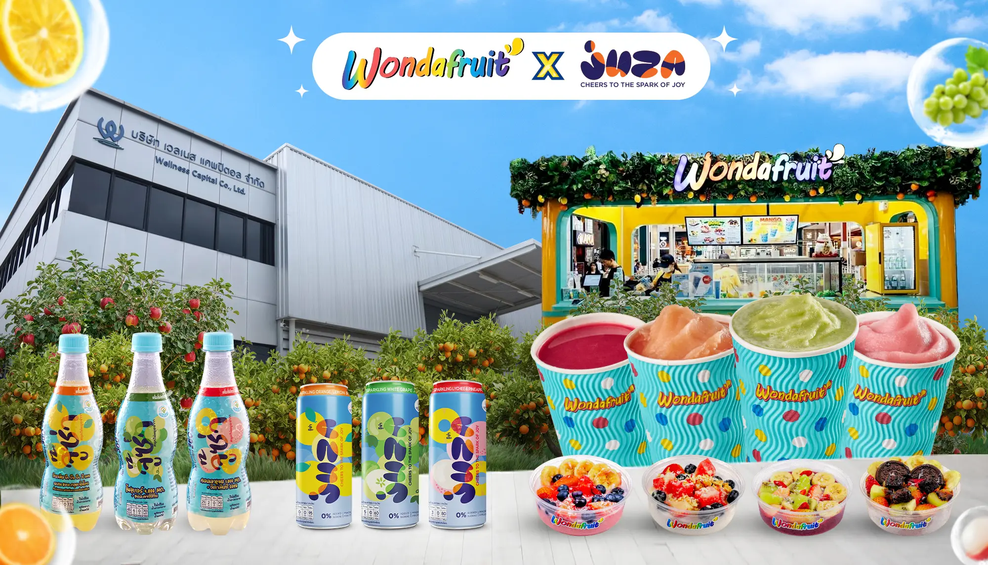 ผลิตภัณฑ์ – Wellness Capital